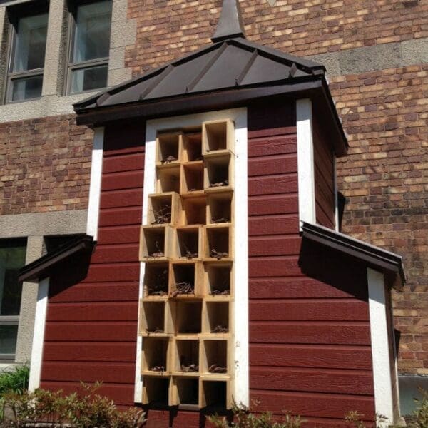 Fairmont expands bee hotel program across Canada