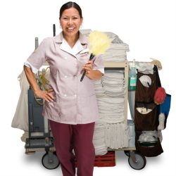 Hotel housekeeping tips and tricks - Insights