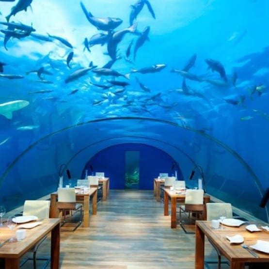 Undersea restaurant Ithaa celebrates 10th anniversary at Conrad ...