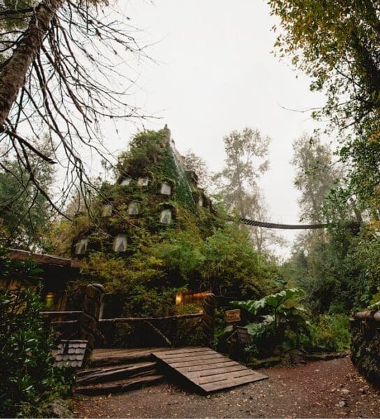 Huilo Huilo Biological award winning Reserve invites the world to ...