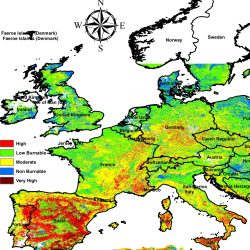 Supplier Reviews Archive - Insights