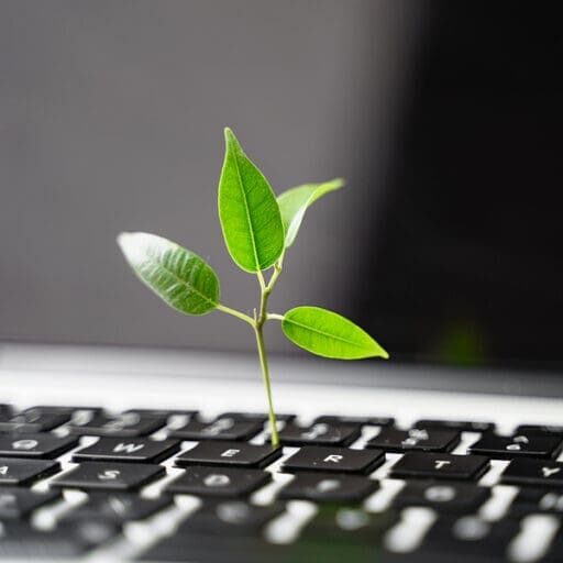Why sustainability matters to hotel guests, staff and the environment
