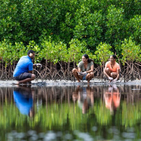 Fiji Marriott Resort Momi Bay awarded EarthCheck Bronze Benchmarking Status